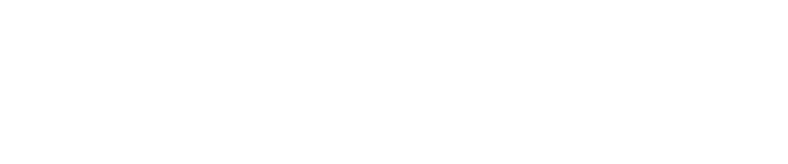 INSTITUTO NACIONAL DE BIENESTAR MAGISTERIAL