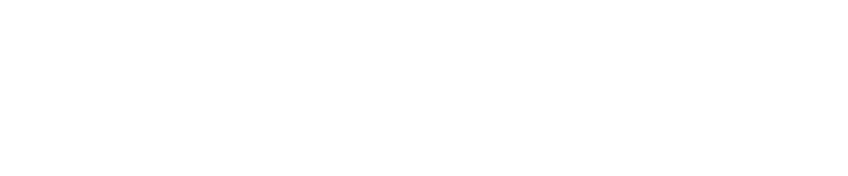 Pensión por Discapacidad